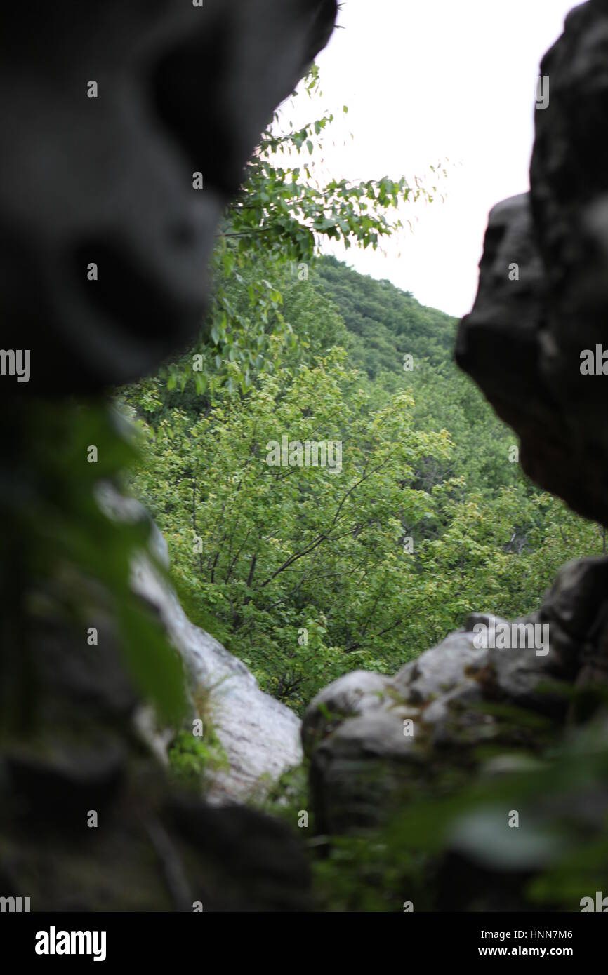 Peeking Through Rocks Stock Photo - Alamy