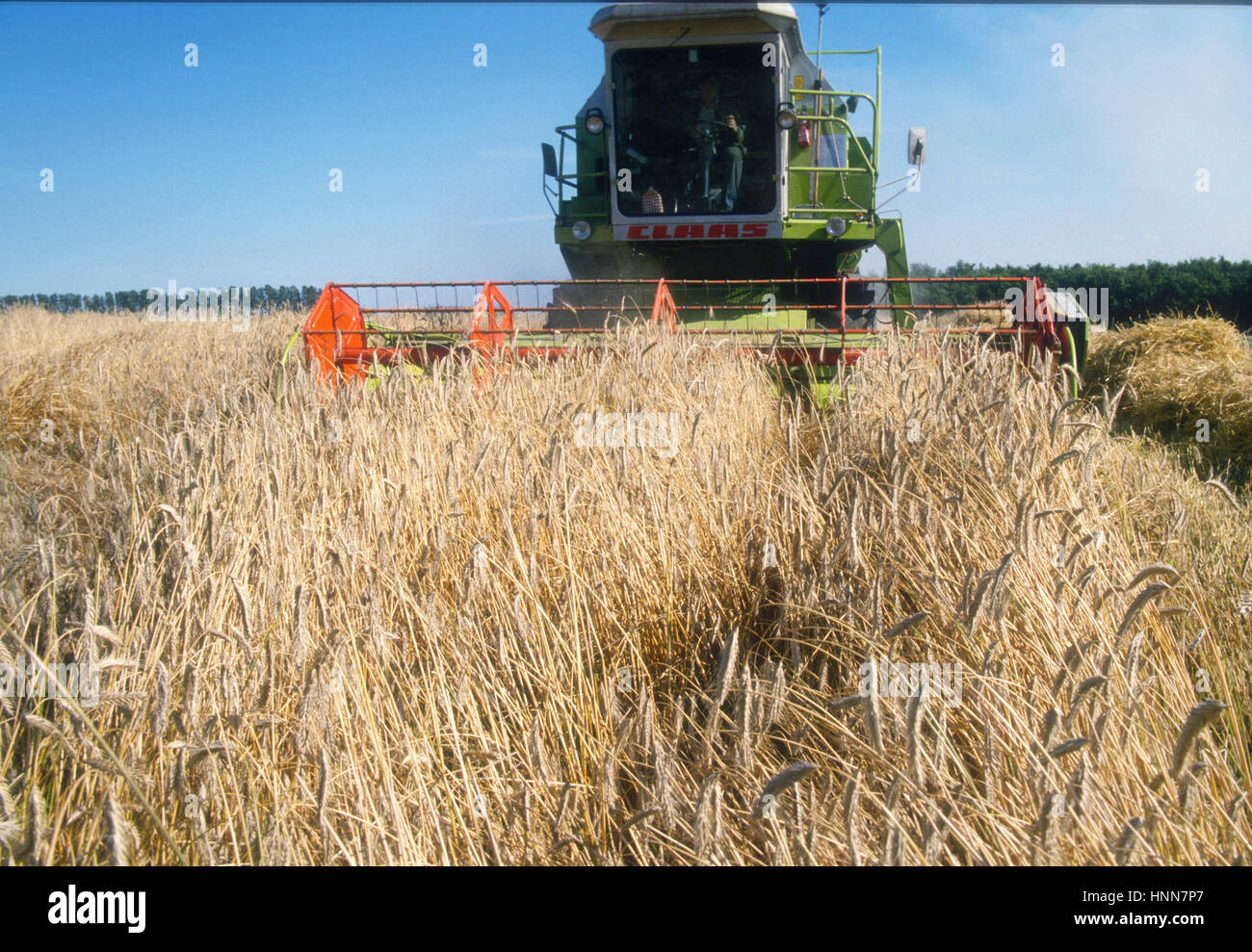 Harvest hi-res stock photography and images - Alamy
