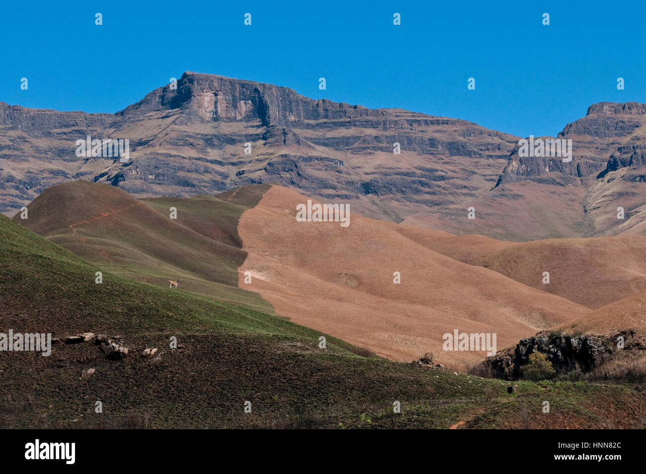 Scenes from Giants Castle area of Drakensberg mountain range ...