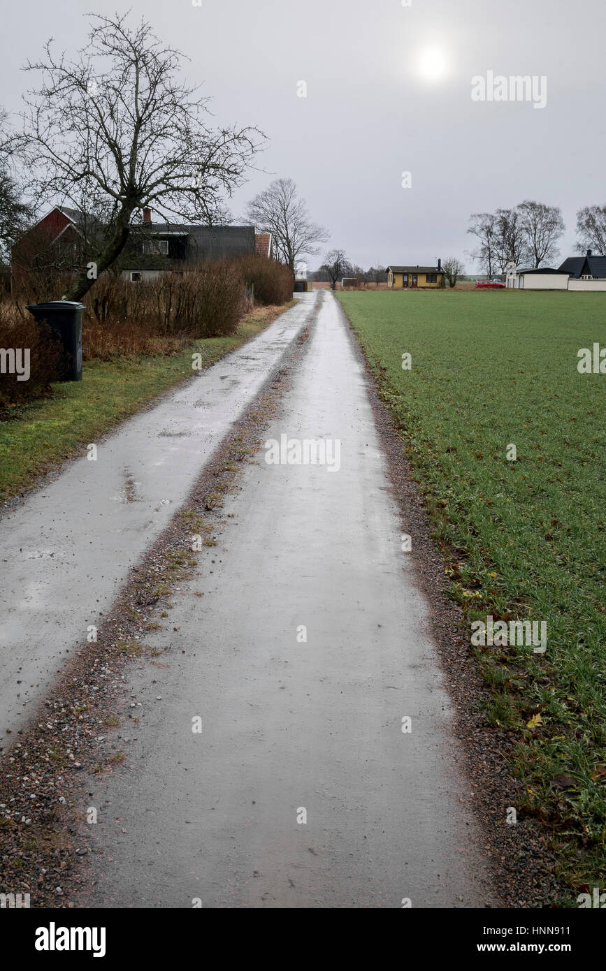 A road at the countryside with a bleak sun witch is trying to light up ...