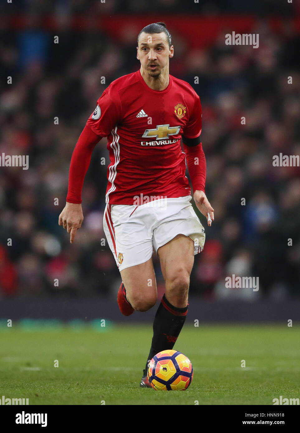 Manchester United's Zlatan Ibrahimovic Stock Photo - Alamy