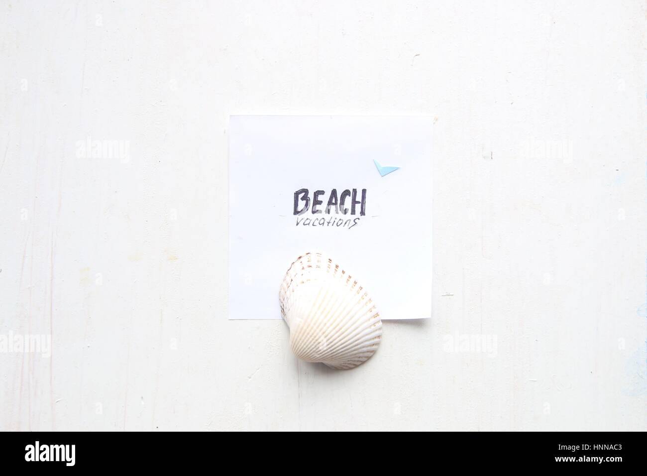 Beach vacation concept, text and seashell Stock Photo - Alamy