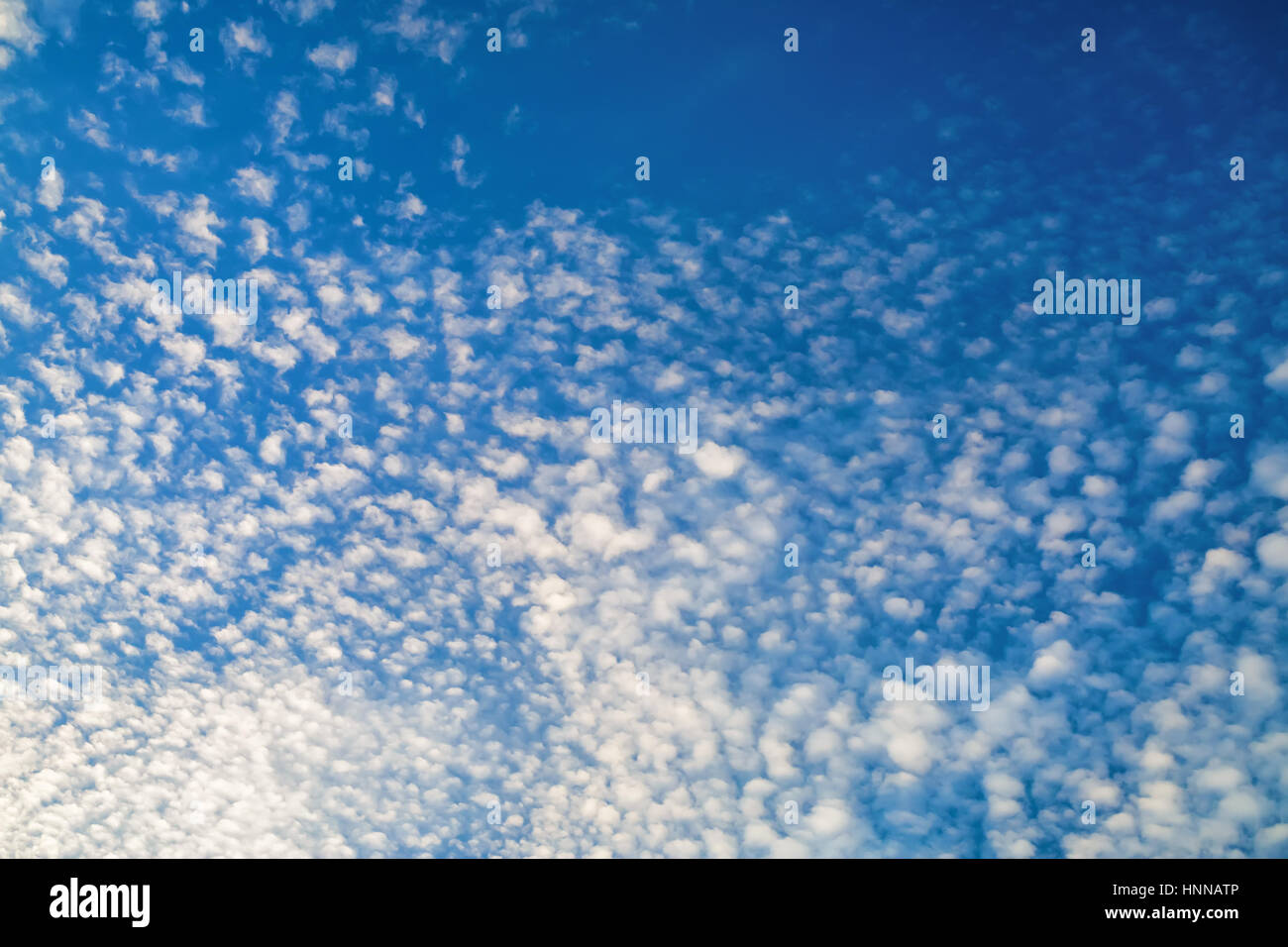 Small white cumulus clouds against the blue sky background Stock Photo ...