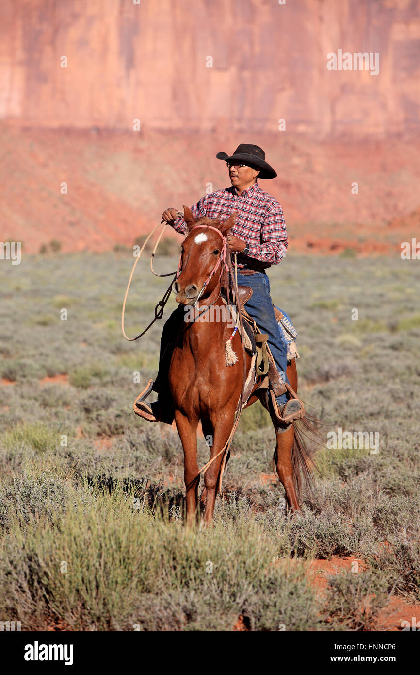 Cowboy Riding A Mustang
