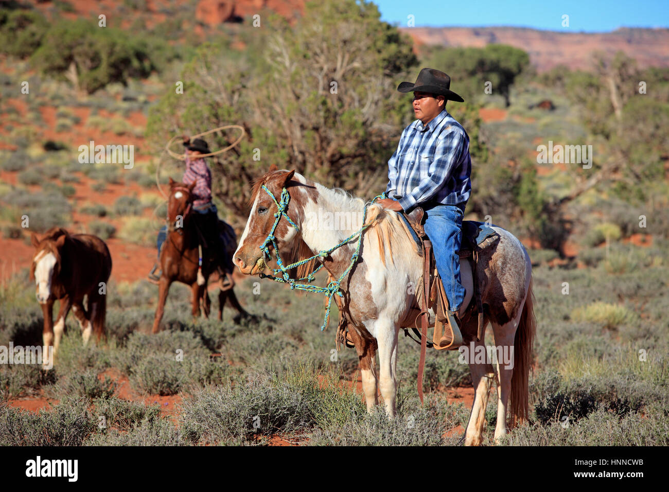 Navajo Cowboy, Mustang, (Equus caballus), Monument Valley, Utah, USA ...