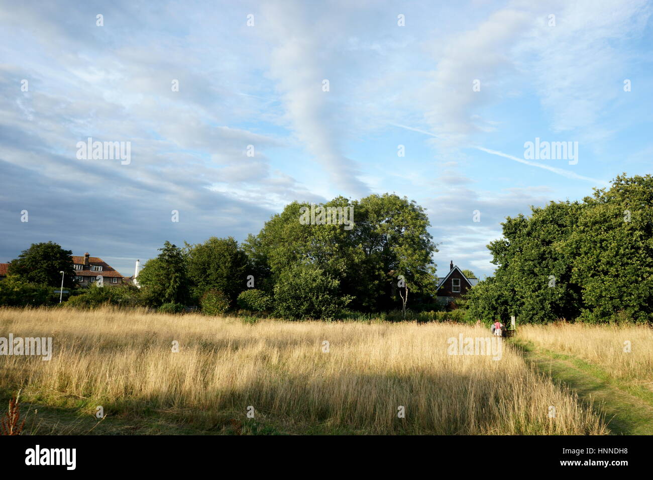 Norfolk summer sky Stock Photo - Alamy