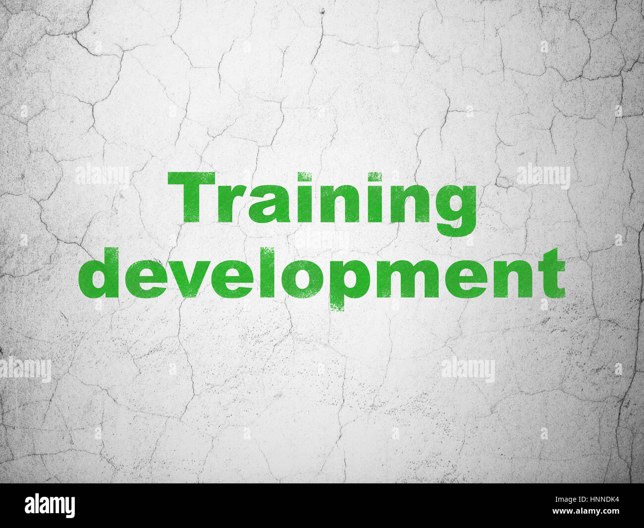 Studying concept: Training Development on wall background Stock Photo ...