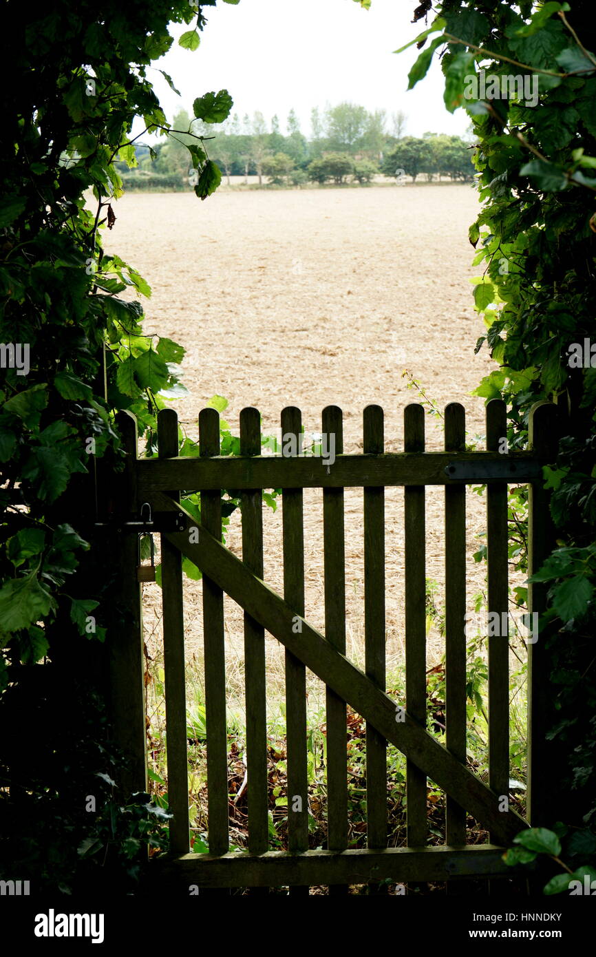 Field and country gate hi-res stock photography and images - Alamy