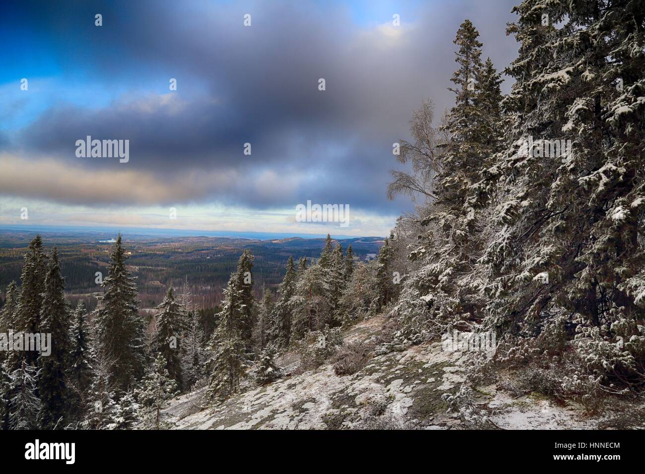 Koli national park joensuu finland hi-res stock photography and images ...