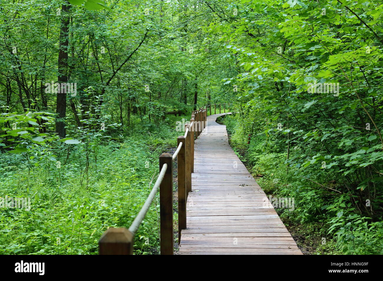 Forest educational trail hi-res stock photography and images - Alamy