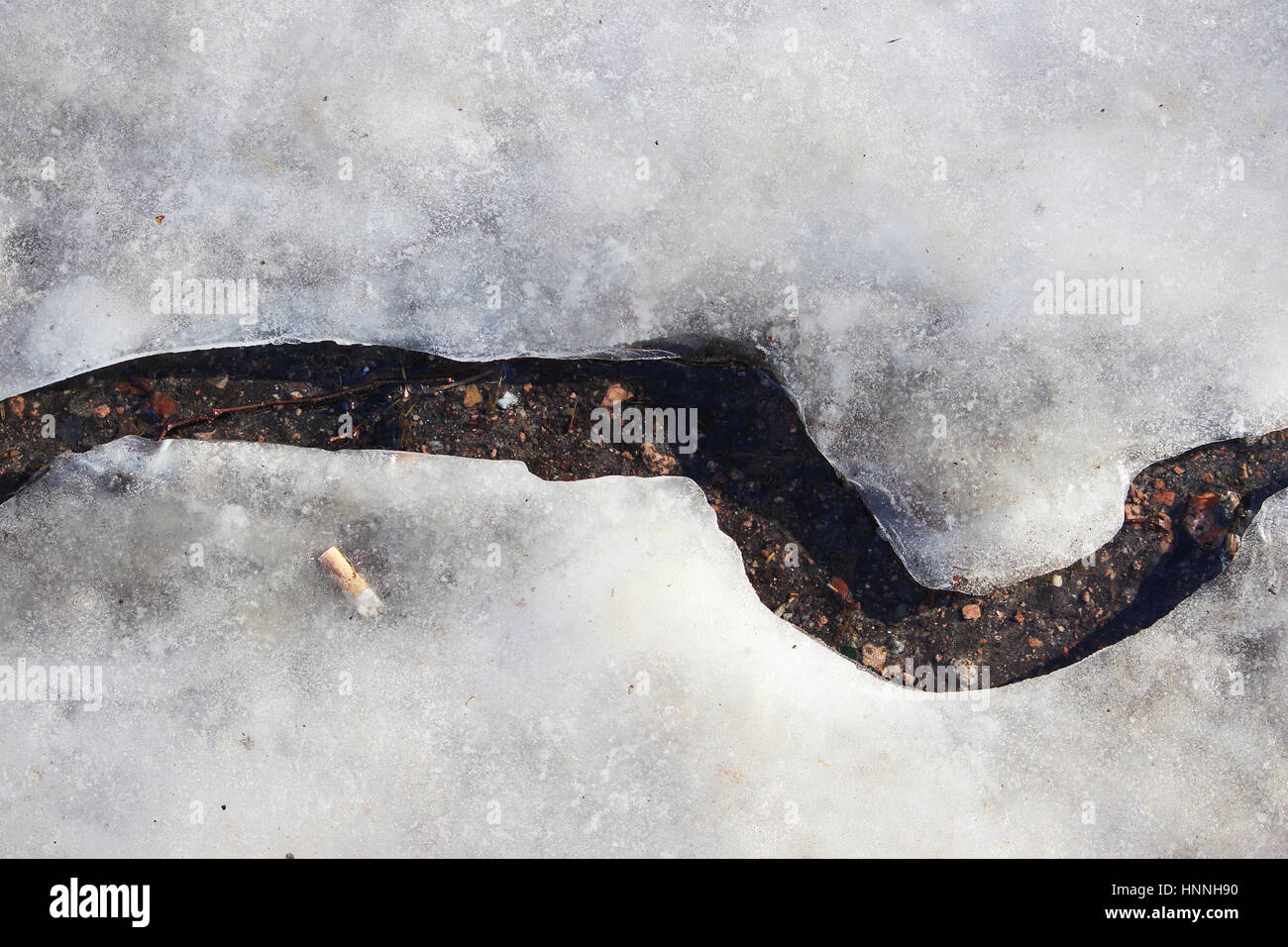 small brook ice melted in the spring. It lies next to the butt of the ...