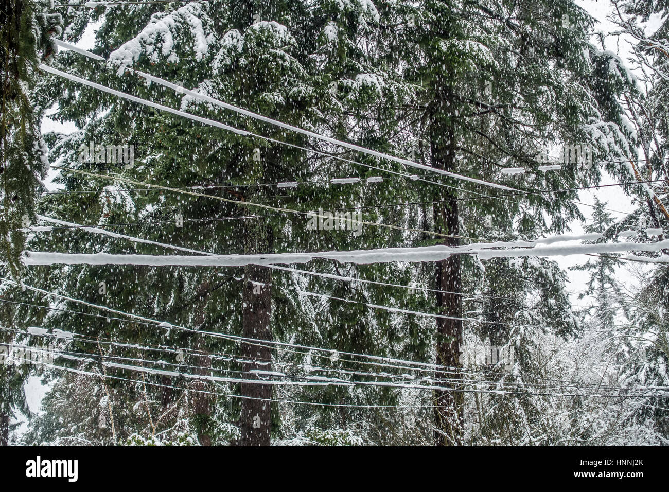 Snow storm power lines hi-res stock photography and images - Alamy