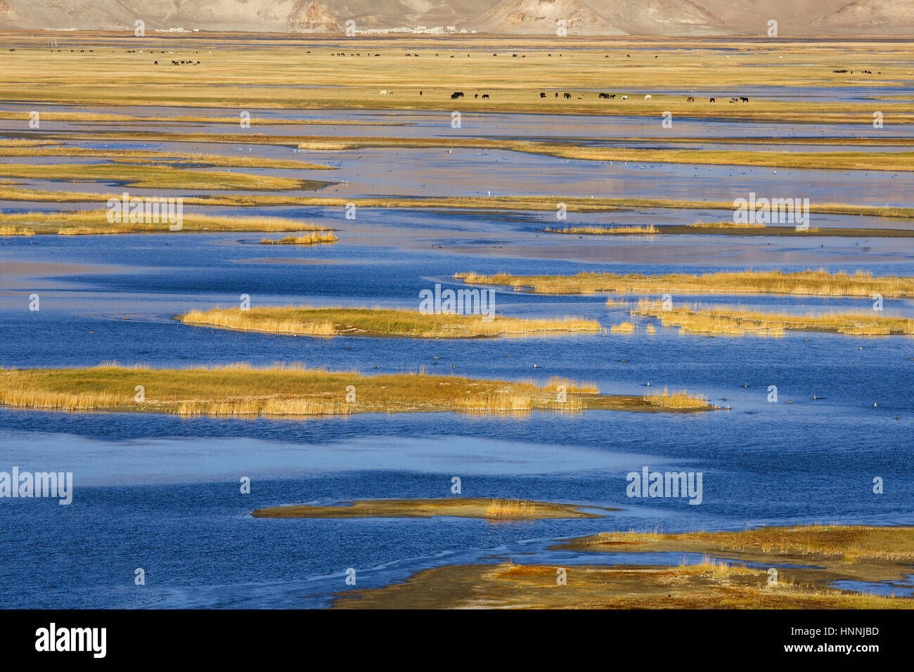 Bangong Lake of Ritu County,Tibet Stock Photo - Alamy
