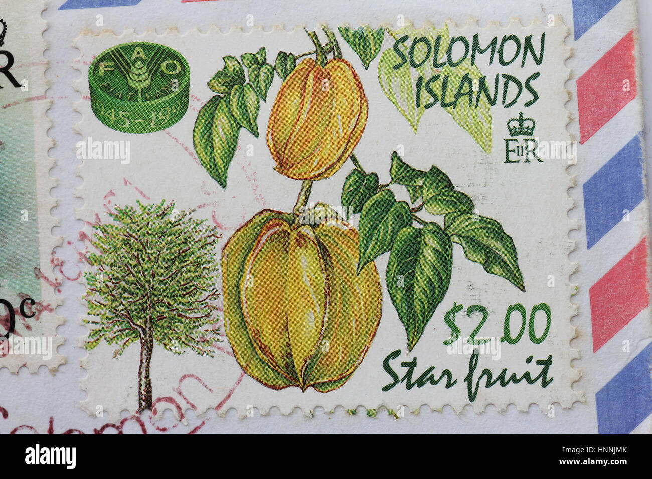 Solomon islands fruit hi-res stock photography and images - Alamy