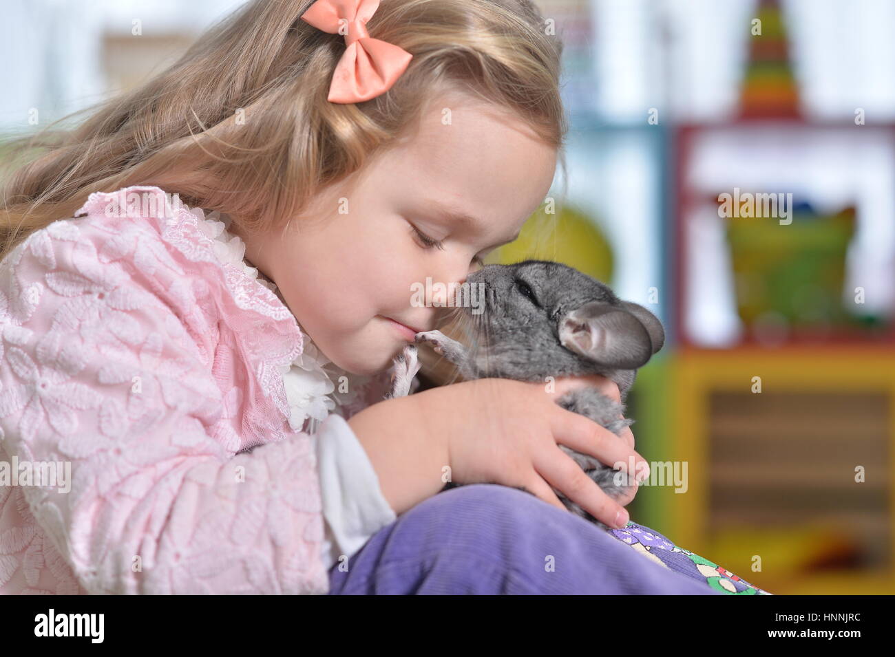 Chinchilla emotions hi-res stock photography and images - Alamy