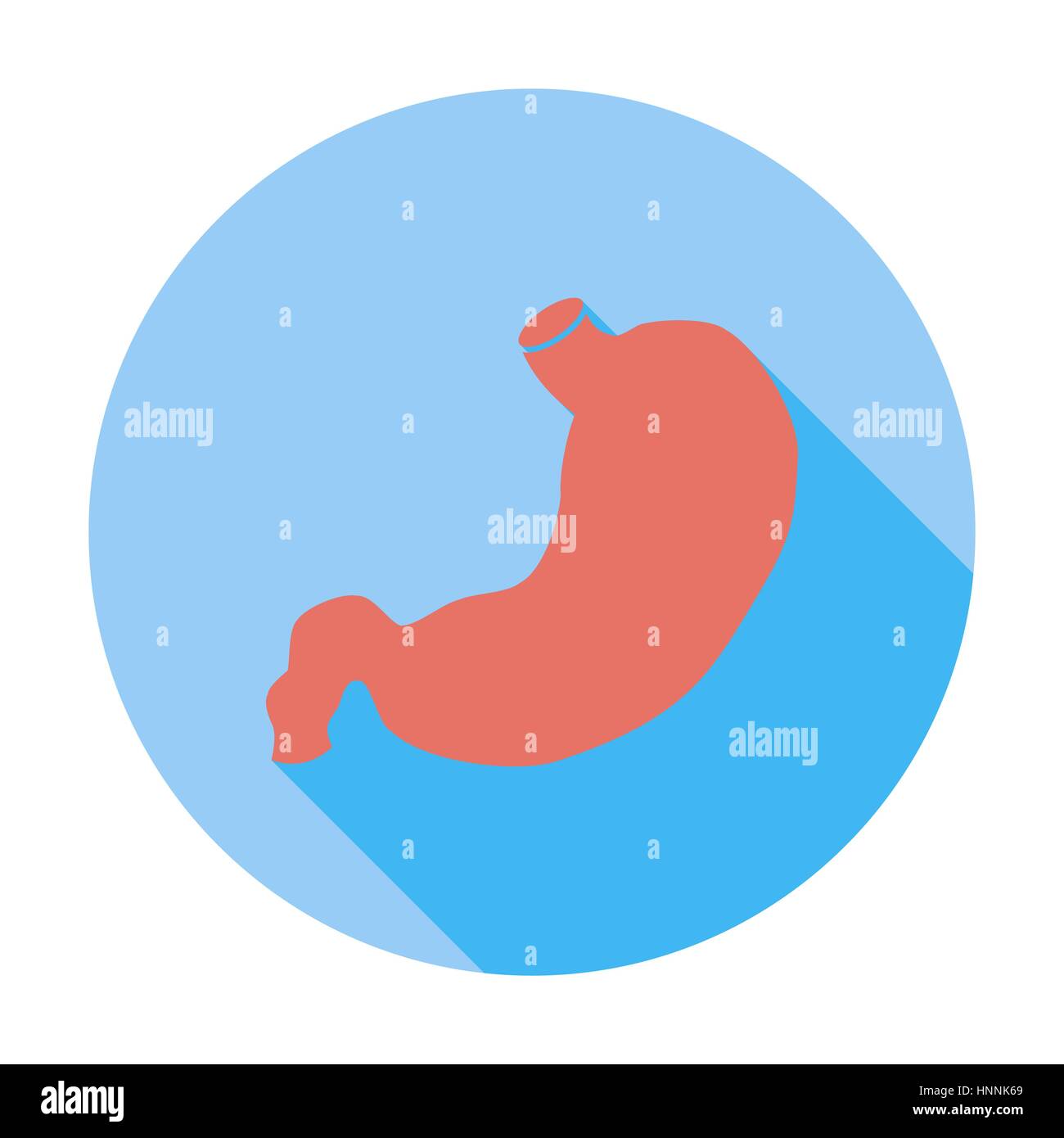 Stomach. Single flat color icon. Vector illustration Stock Vector Image ...