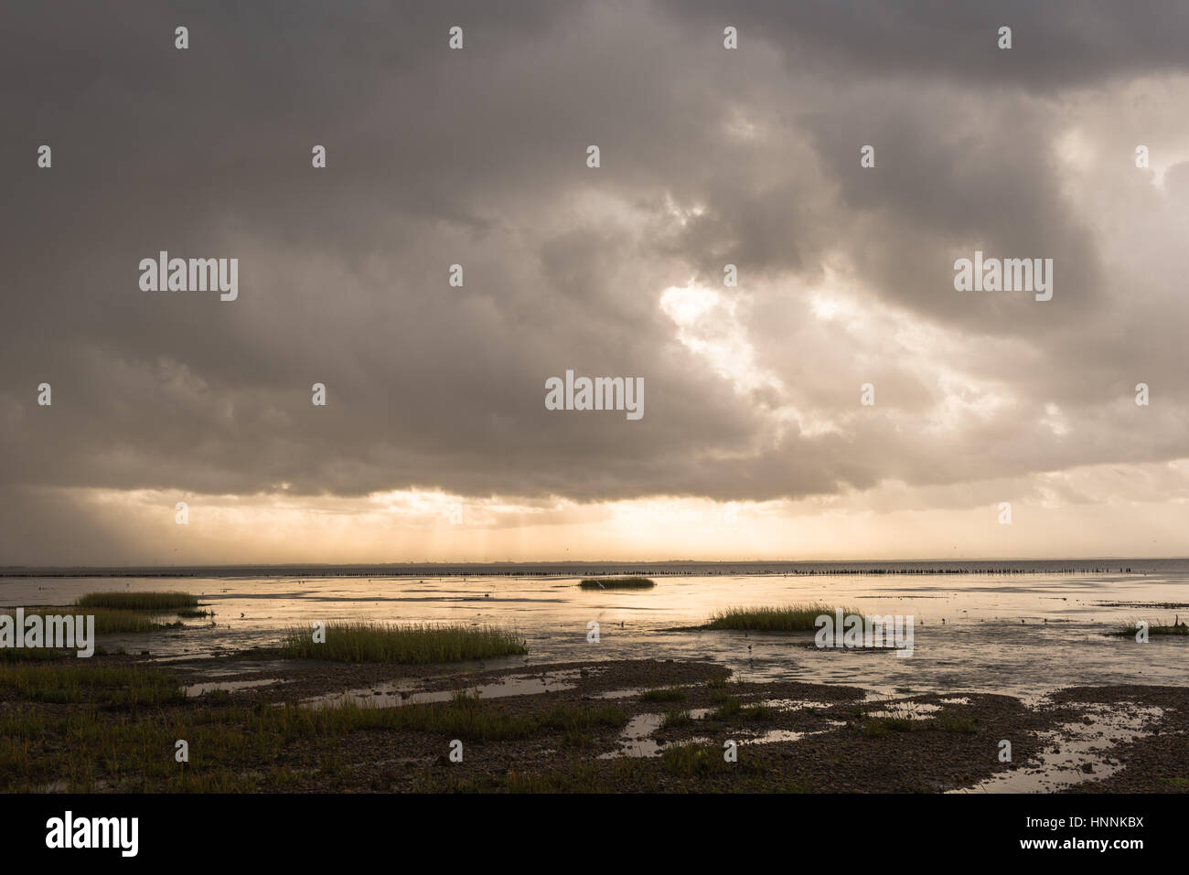 The Danish Wadden Sea near Mandoe Island, UNECSCO World Natural ...