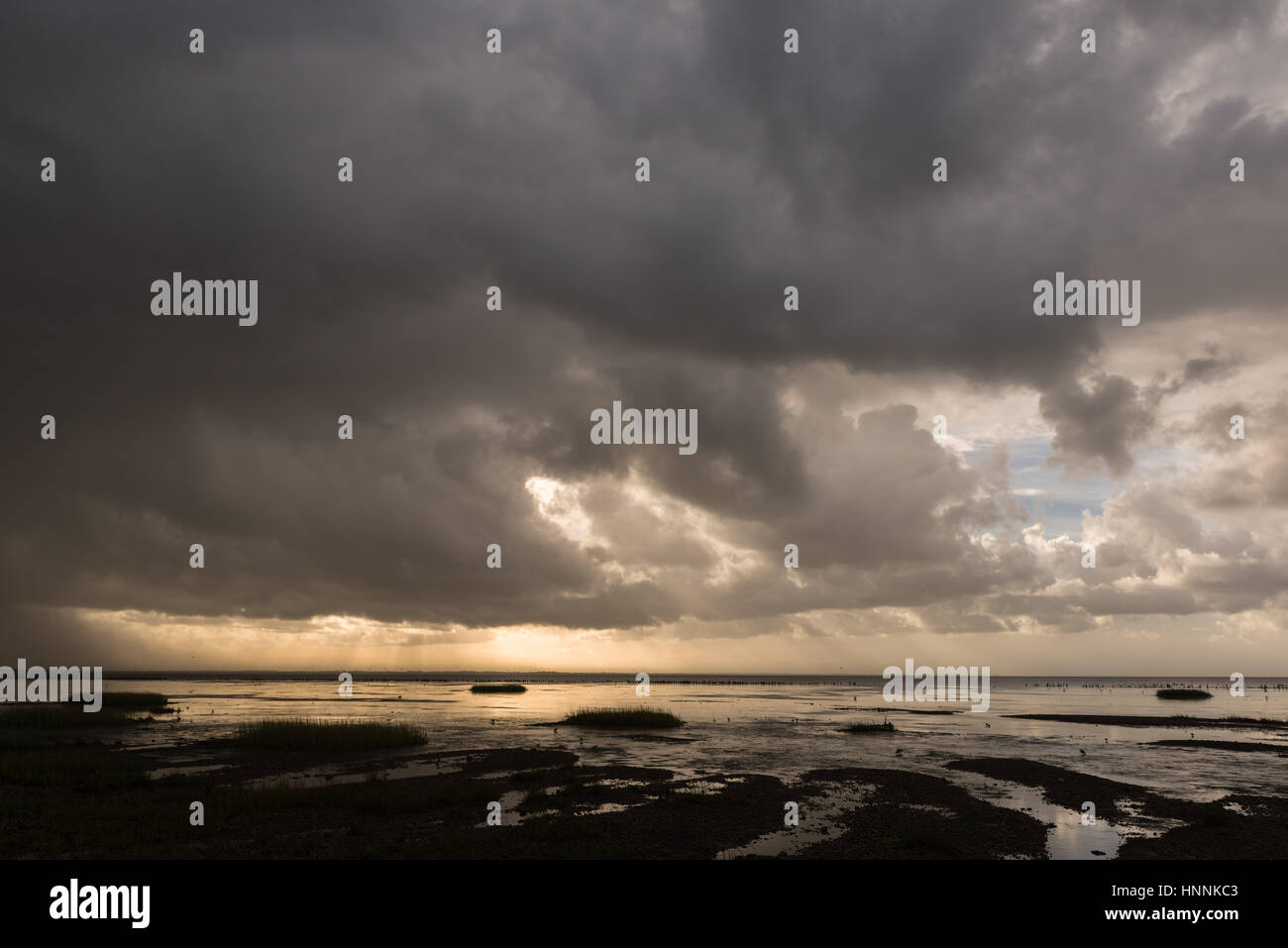 The Danish Wadden Sea near Mandoe Island, UNECSCO World Natural ...