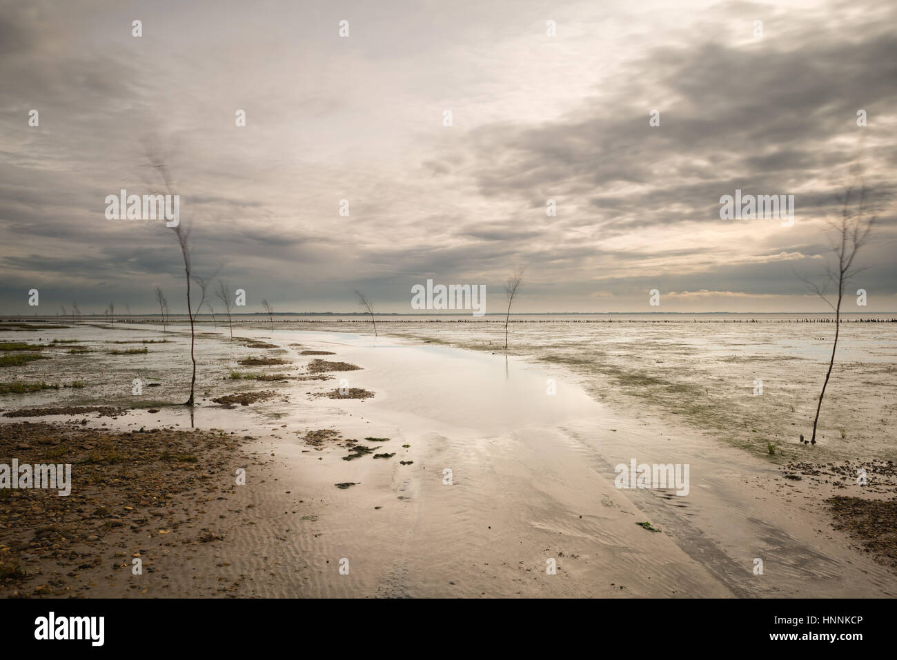 A muddy way to Mandoe Island in the Danish Wadden Sea, UNECSCO World ...