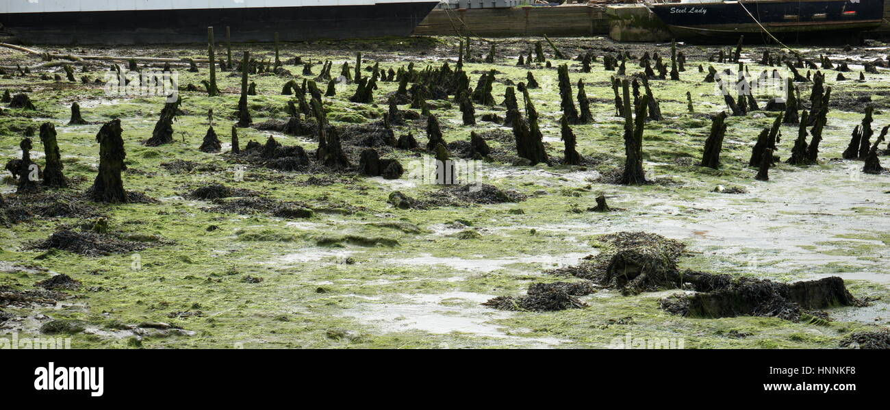 Tide west mersea hi-res stock photography and images - Alamy