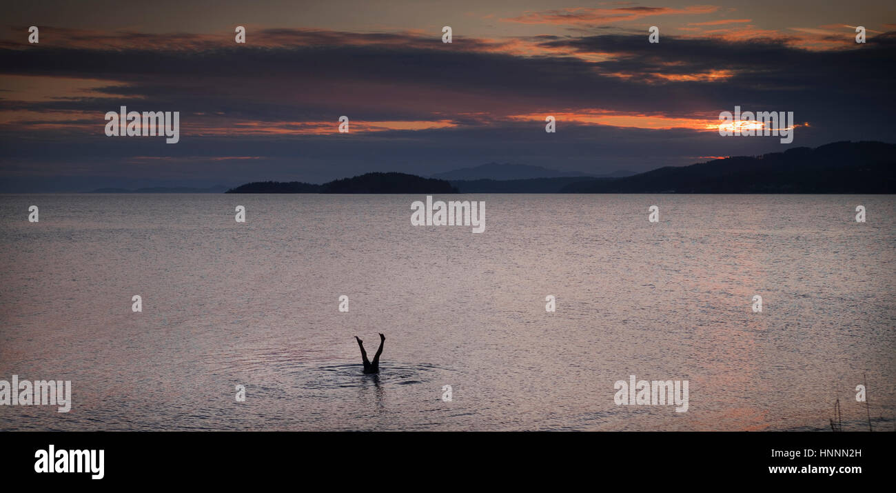Person jumping in sea during sunset Stock Photo - Alamy