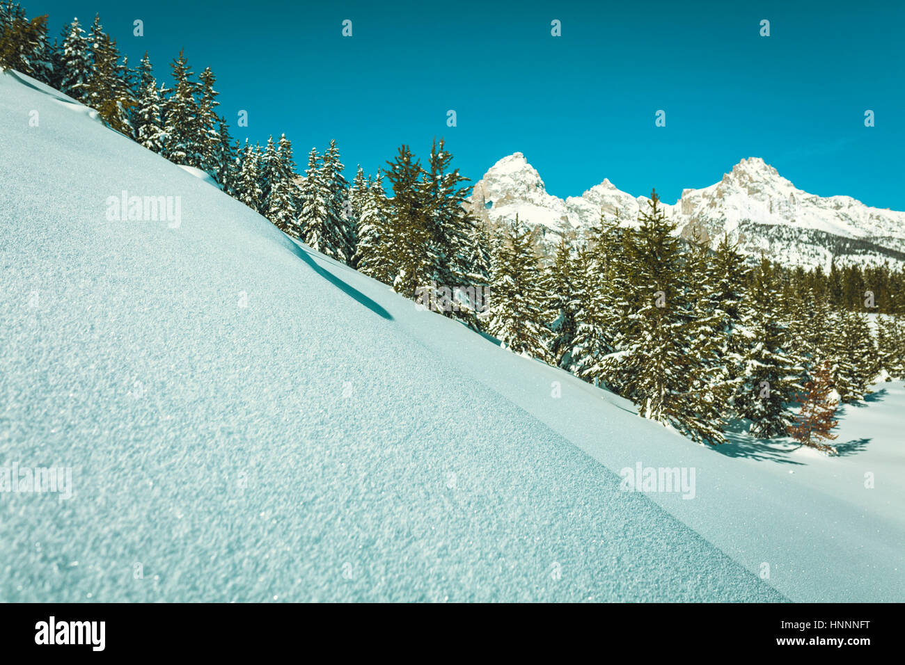 Sunny slope hi-res stock photography and images - Alamy