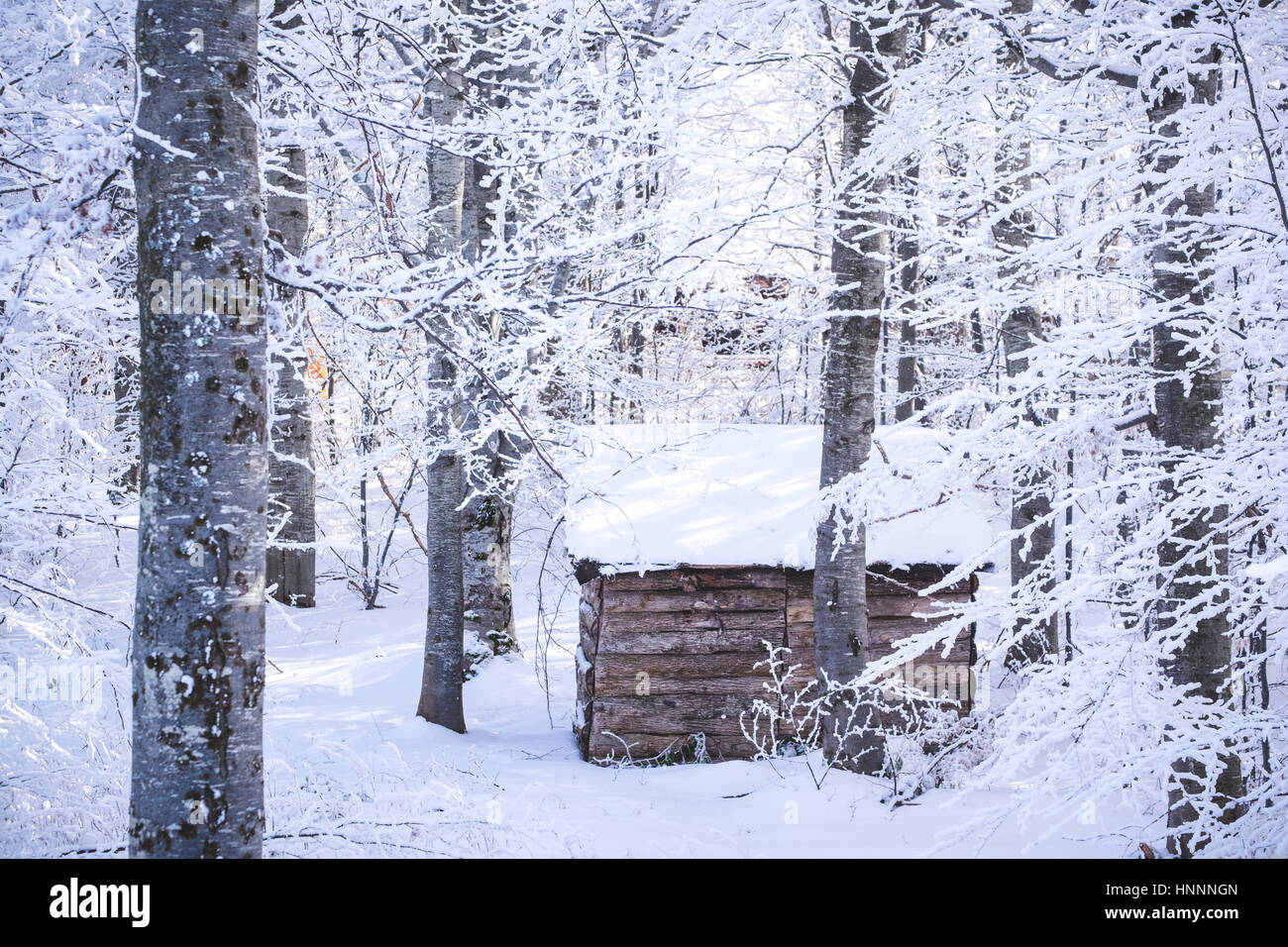 Deep snow house hi-res stock photography and images - Alamy
