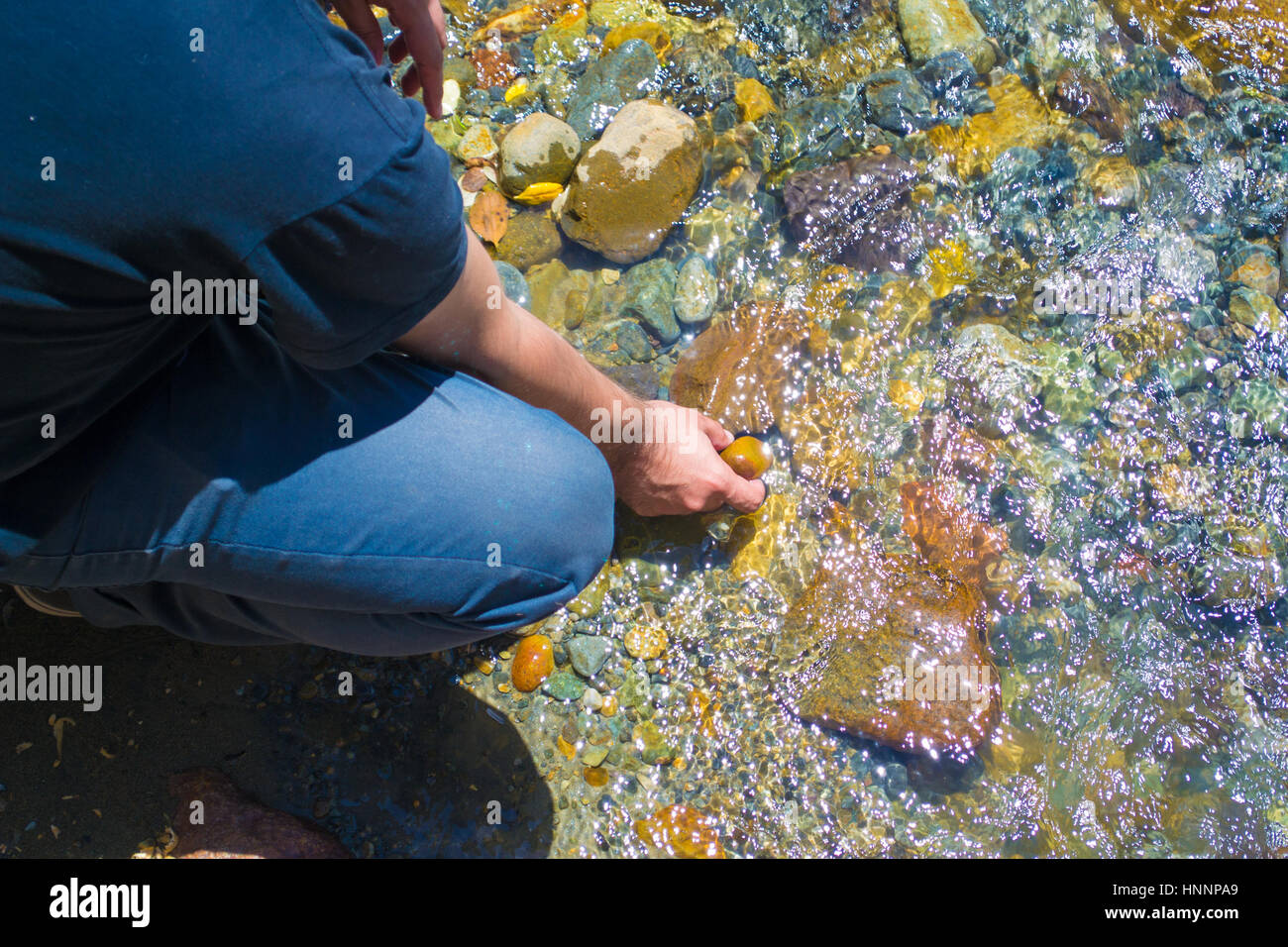 A man grabbing a stone at the river Stock Photo - Alamy