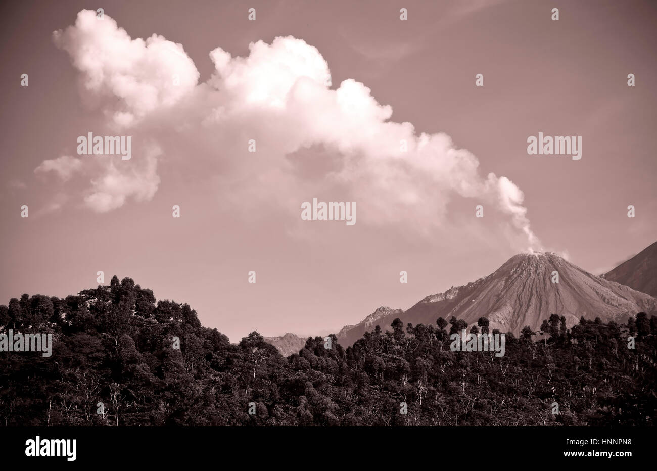 Volcano in America Stock Photo - Alamy