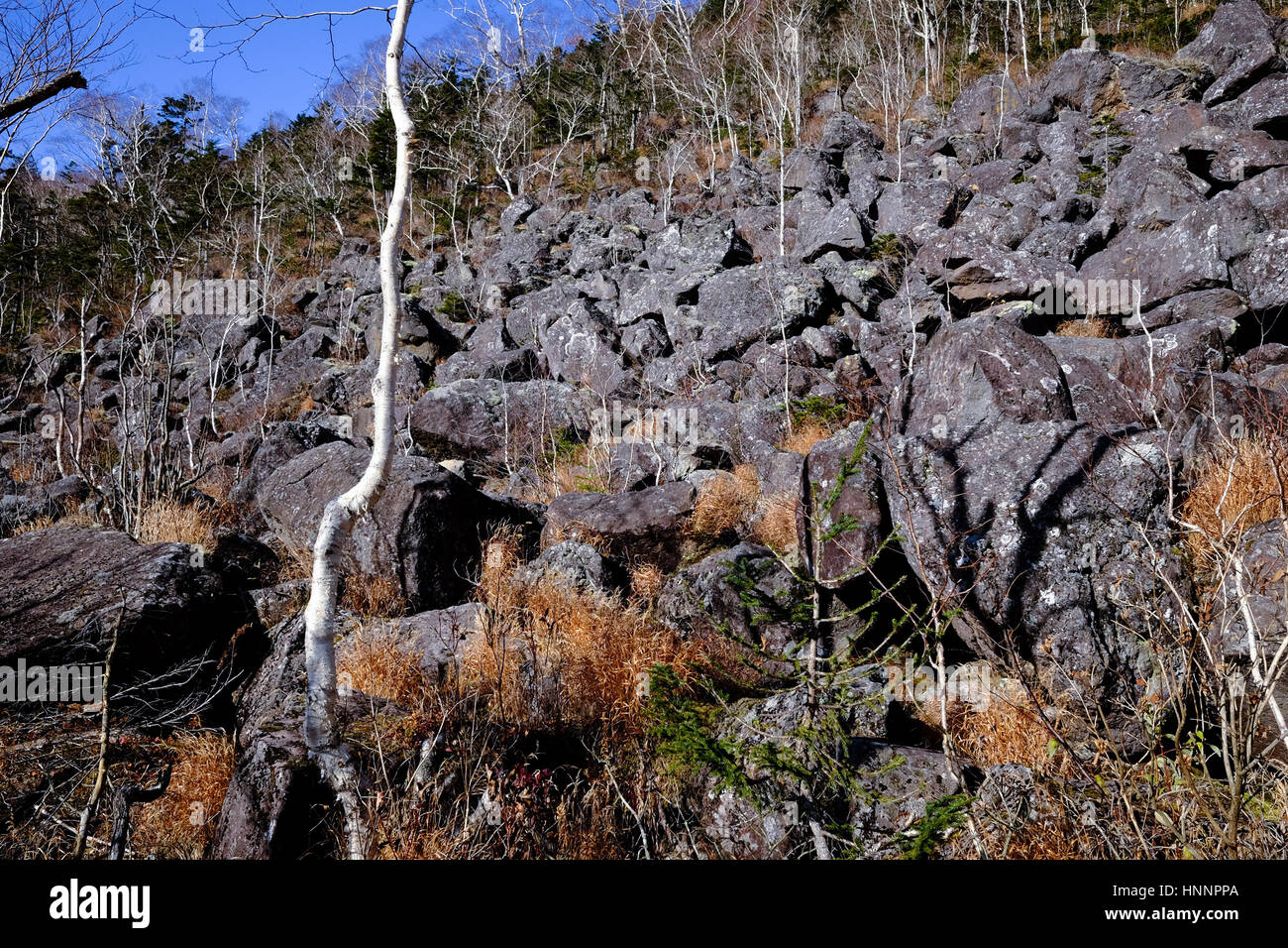 Rocky area hi-res stock photography and images - Alamy