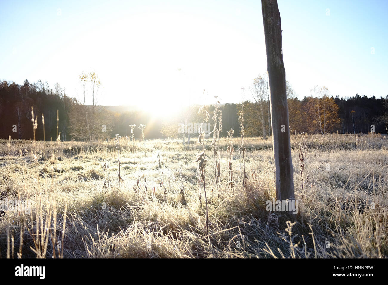 Very early morning in winter hi-res stock photography and images - Alamy