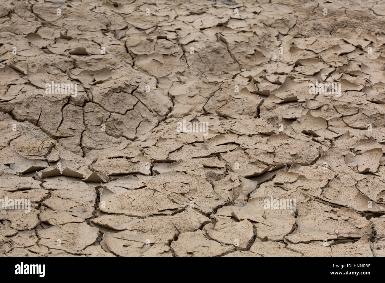 Impact of drought hi-res stock photography and images - Alamy