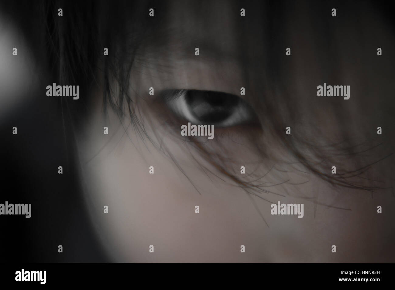 Upshot hi-res stock photography and images - Alamy