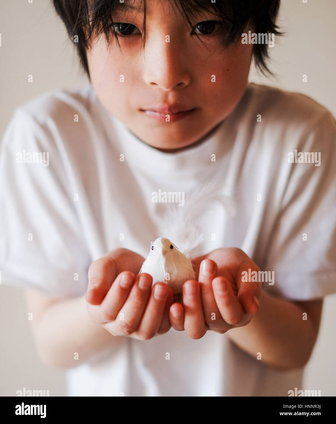 A boy having bird Stock Photo - Alamy
