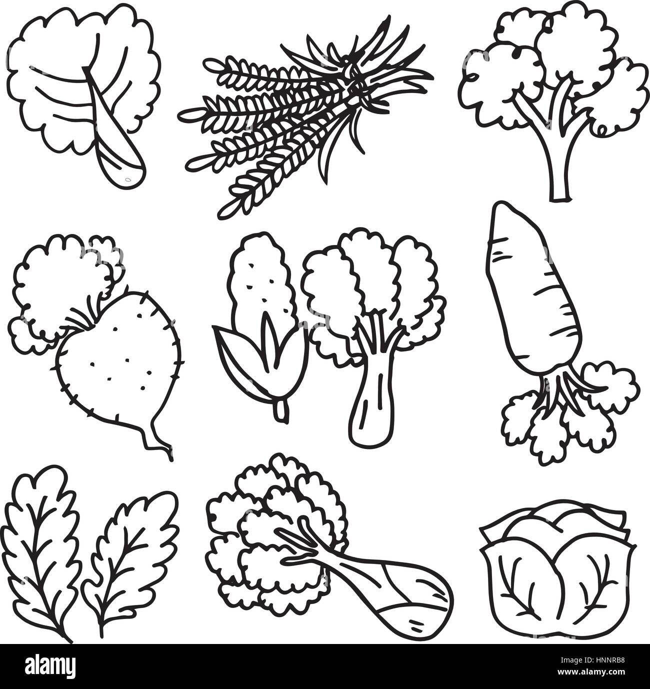 Doodle of vegetable hand draw vector art Stock Vector Image & Art - Alamy