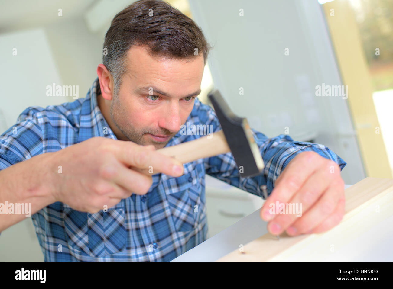 Carpenter using a hammer Stock Photo - Alamy