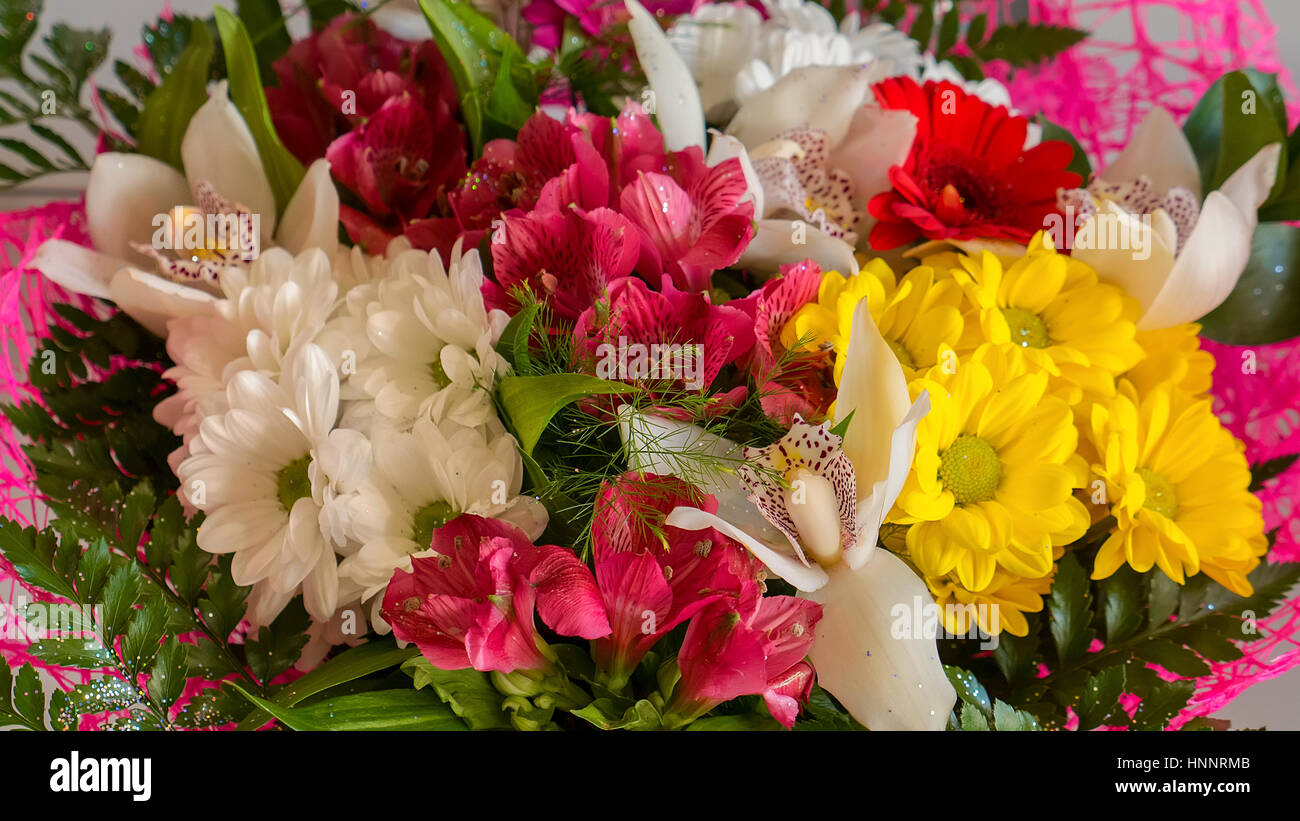 The colorful bouquet of fresh different flowers Stock Photo - Alamy