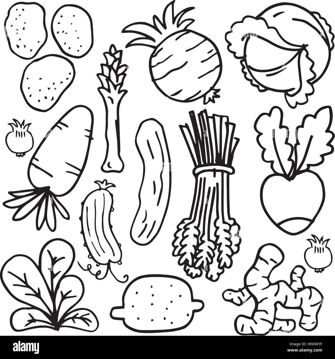 Vegetable object set of doodles vector art Stock Vector Image & Art - Alamy