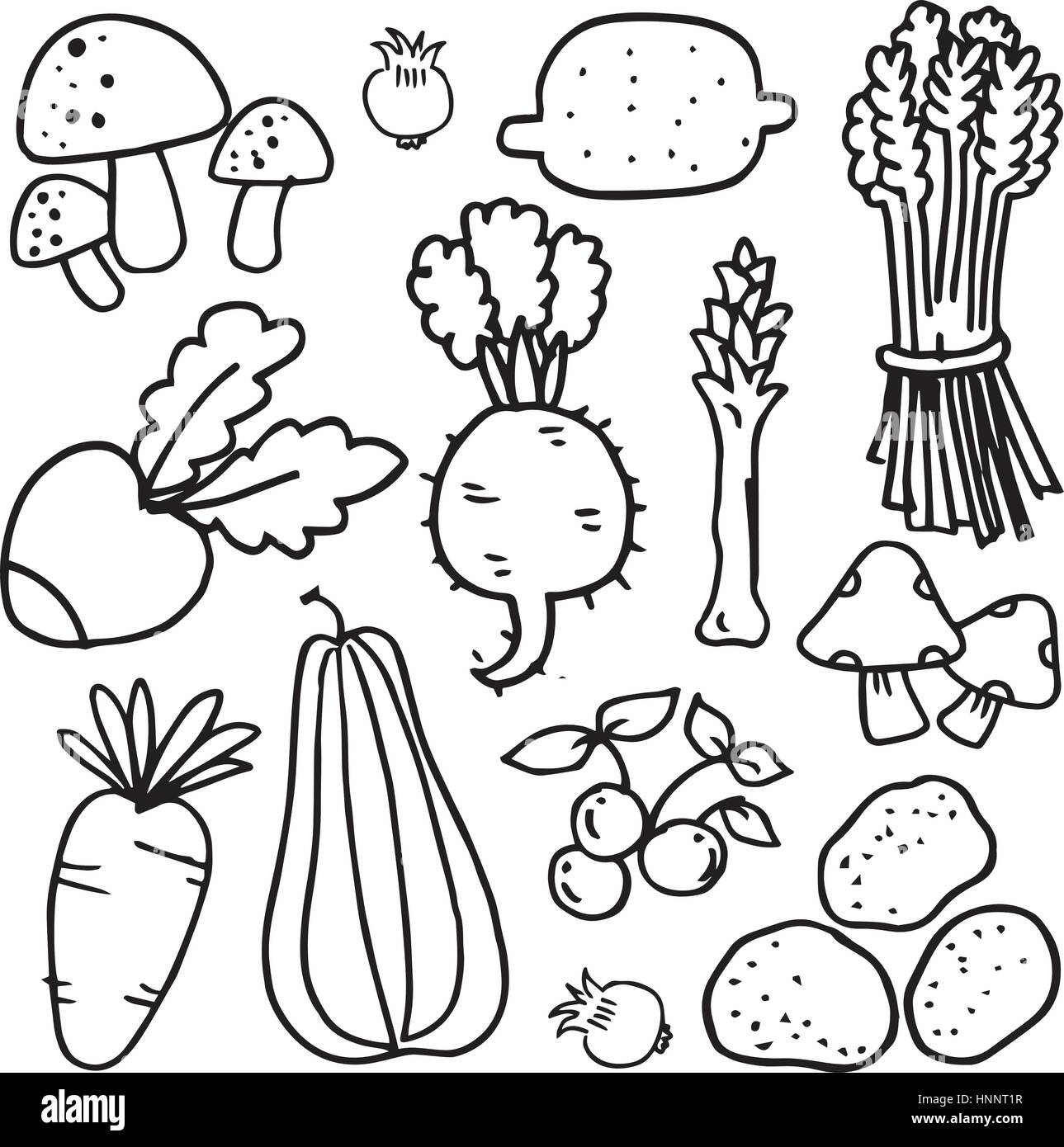 Doodle of vegetable set vector art hand draw Stock Vector Image & Art ...