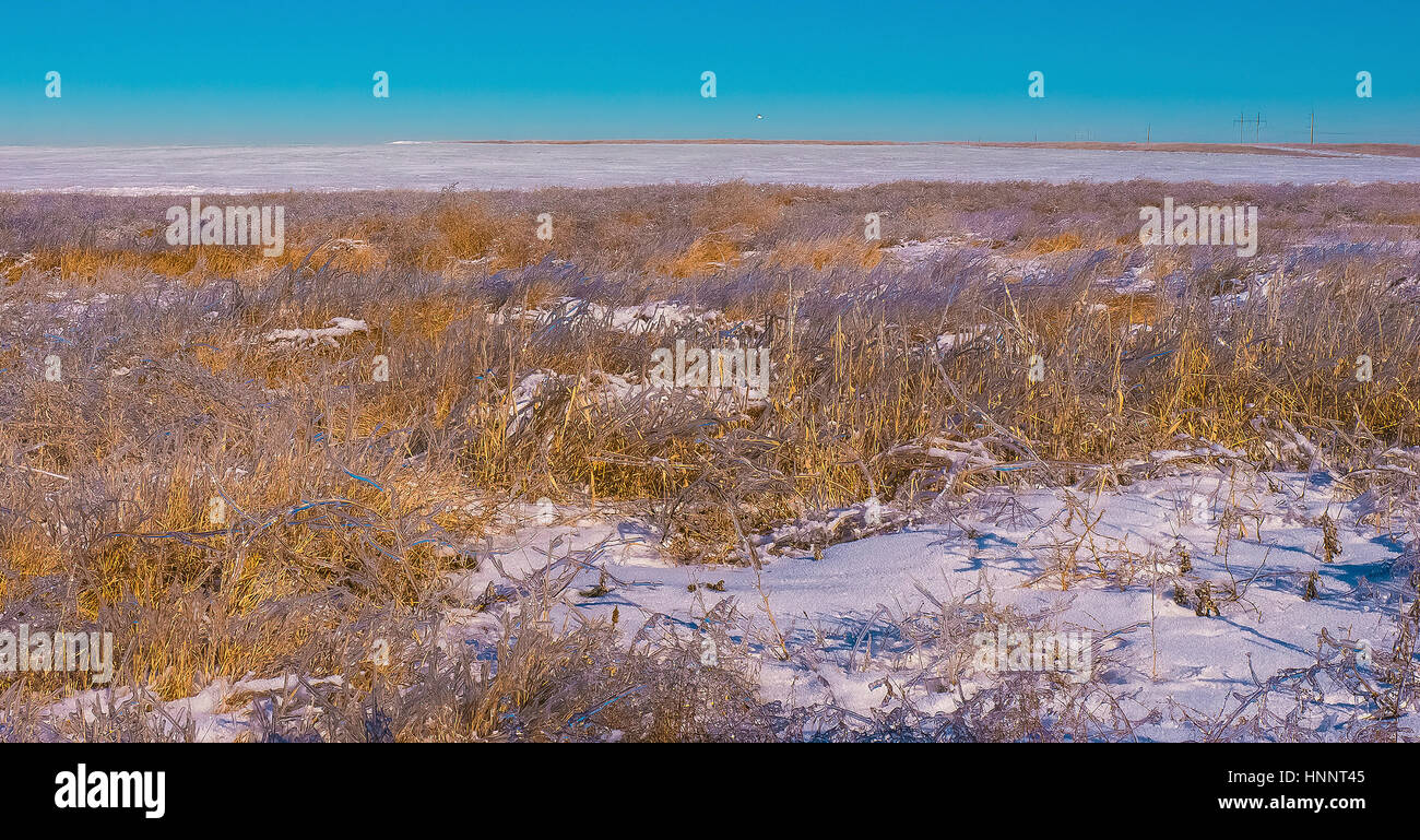 The frozen huge field in the snow Stock Photo - Alamy