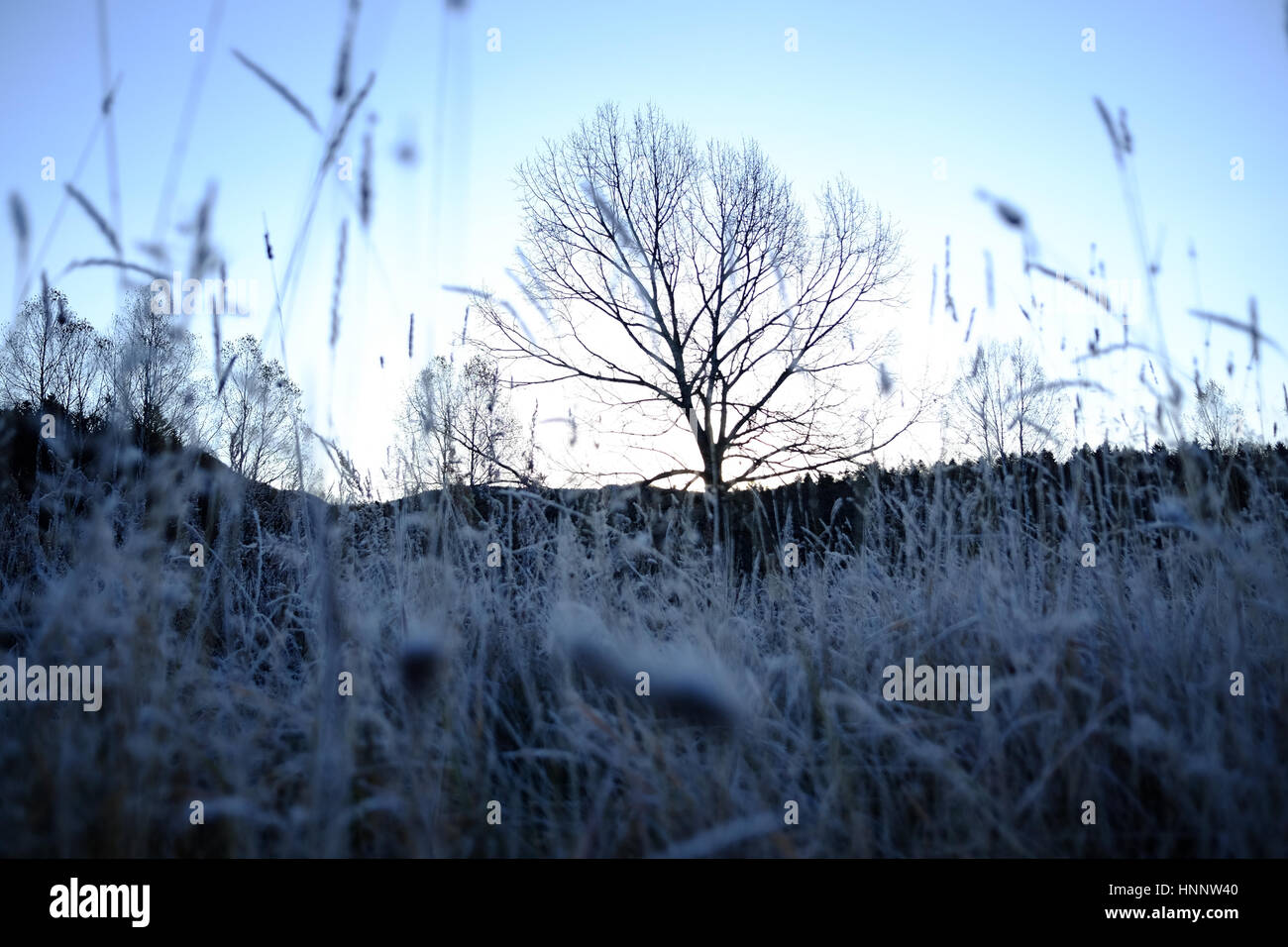Early winter scenery Stock Photo - Alamy