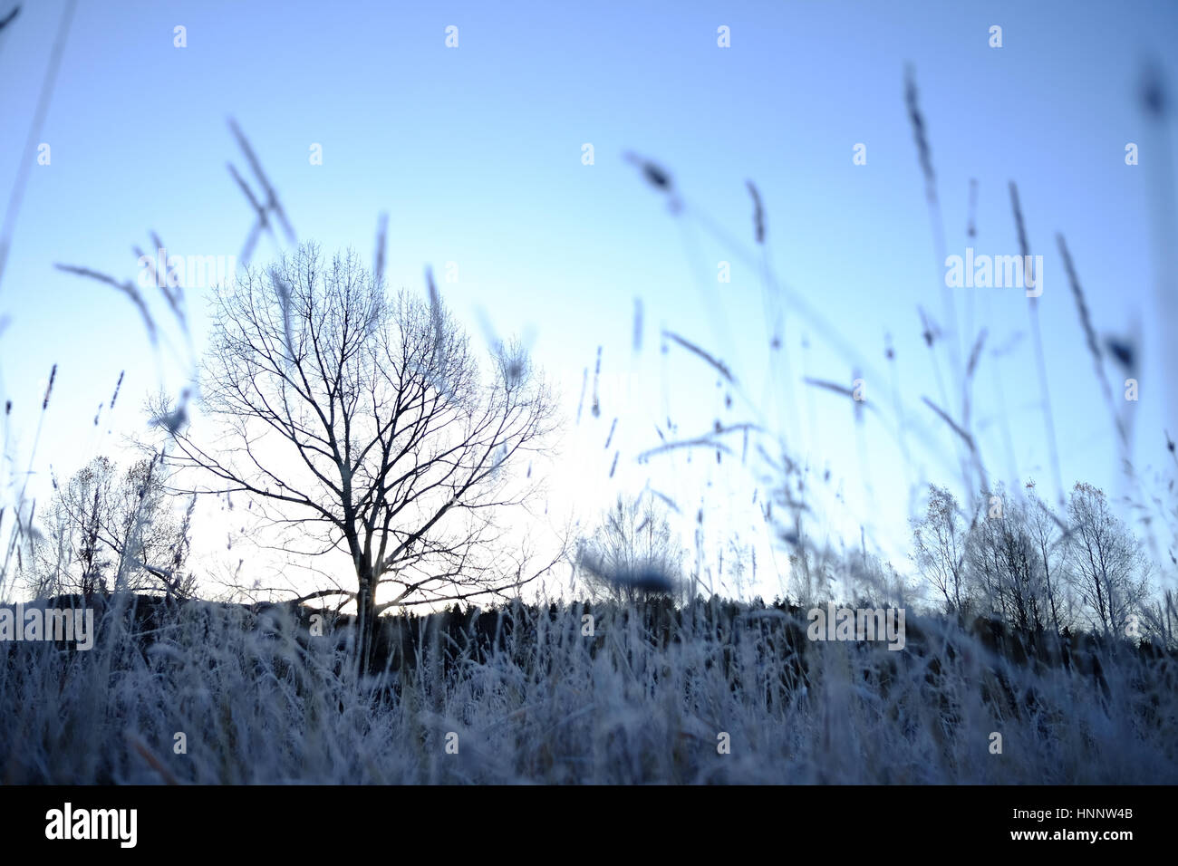 Early winter scenery Stock Photo - Alamy