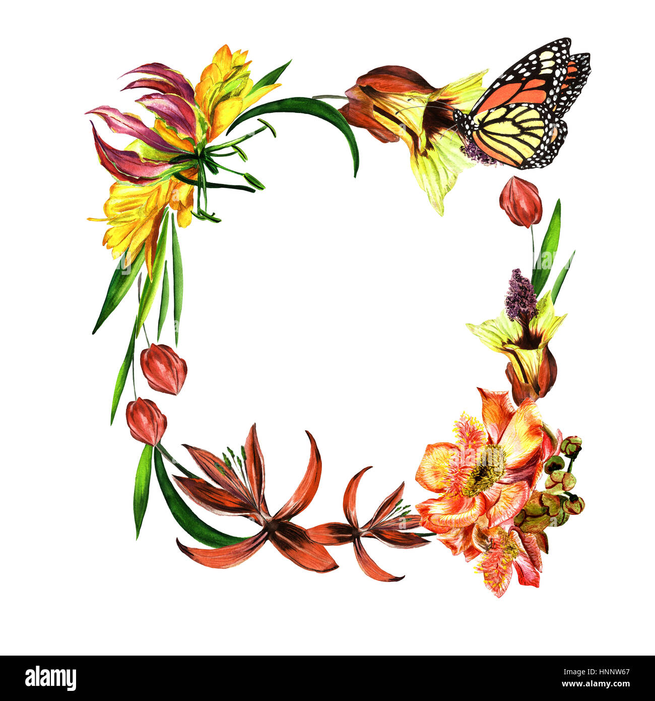 Tropical Hawaii leaves and flowers frame in a watercolor style isolated ...