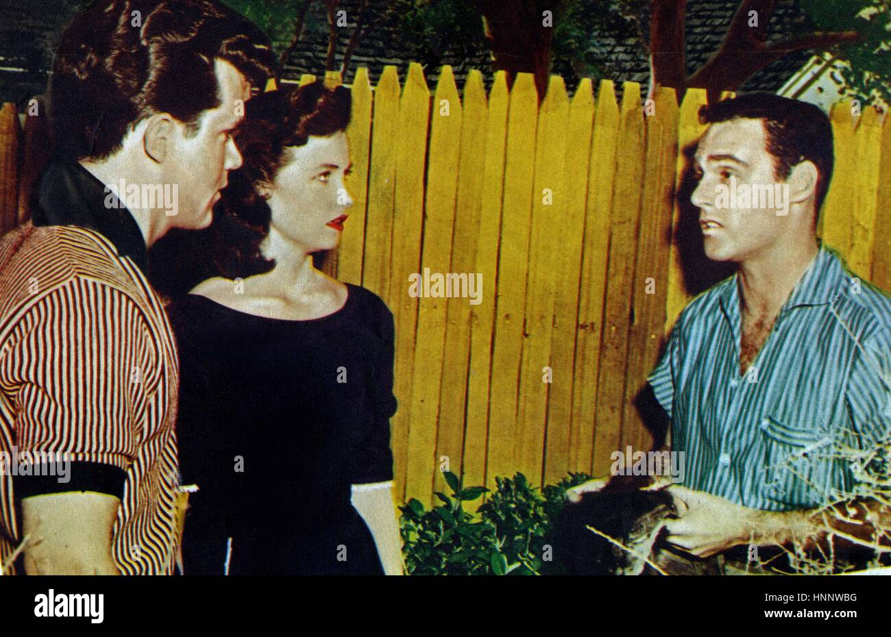 Sandra knight hi-res stock photography and images - Alamy