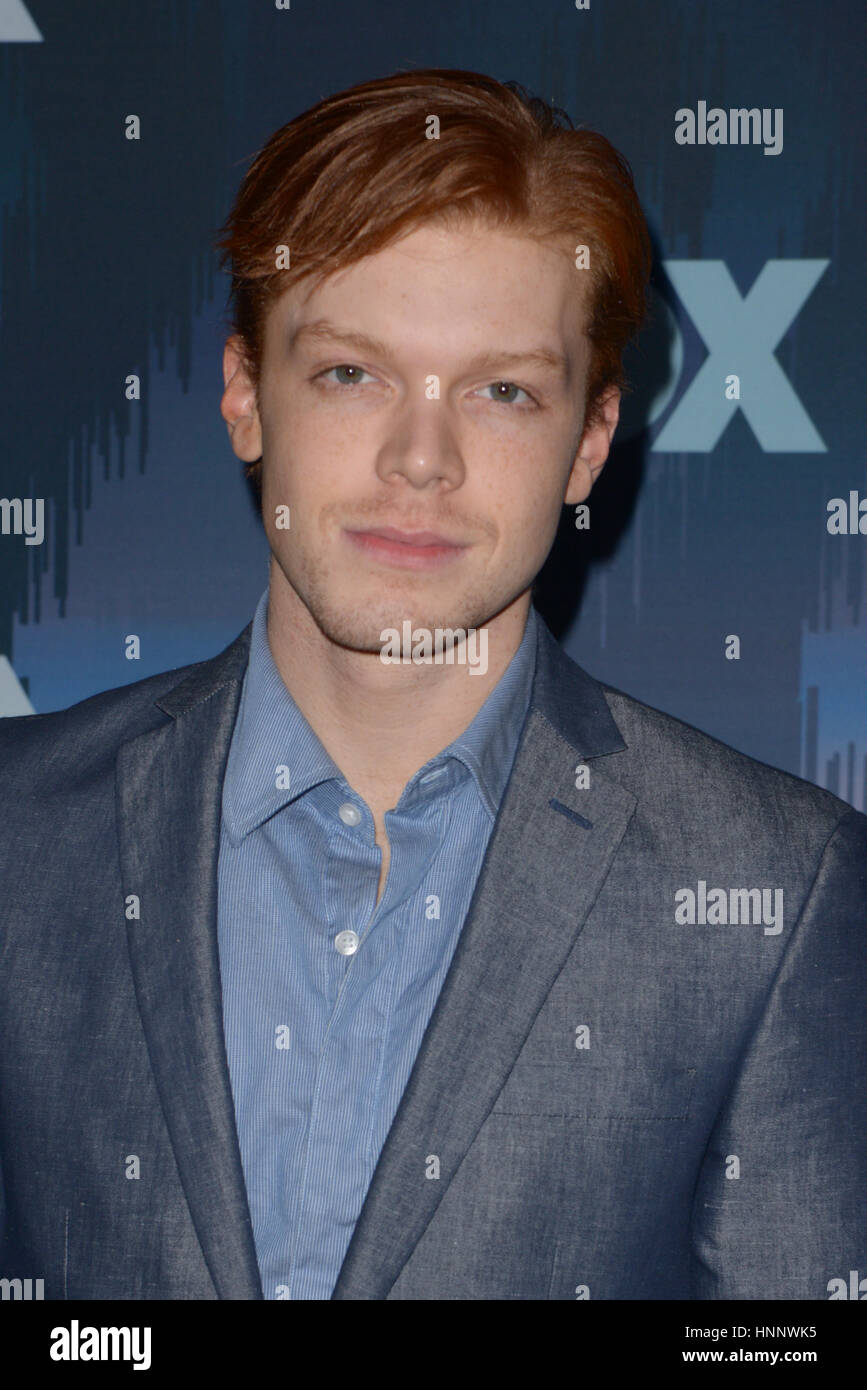 Fox Winter TCA 2017 All-Star Party at the Langham Huntington Hotel ...