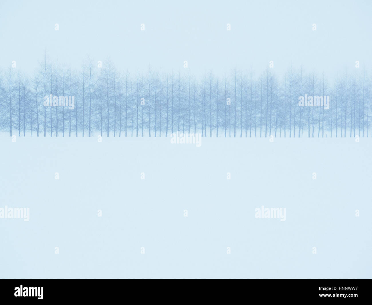 Windbreak farm hi-res stock photography and images - Alamy