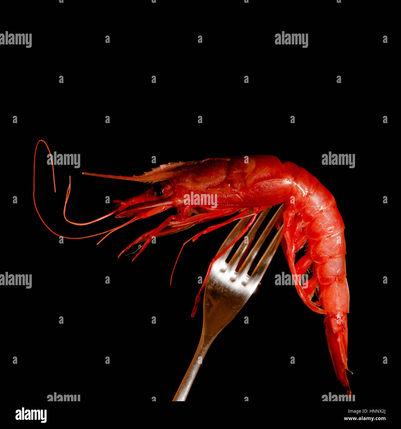 fresh red shrimp Stock Photo - Alamy