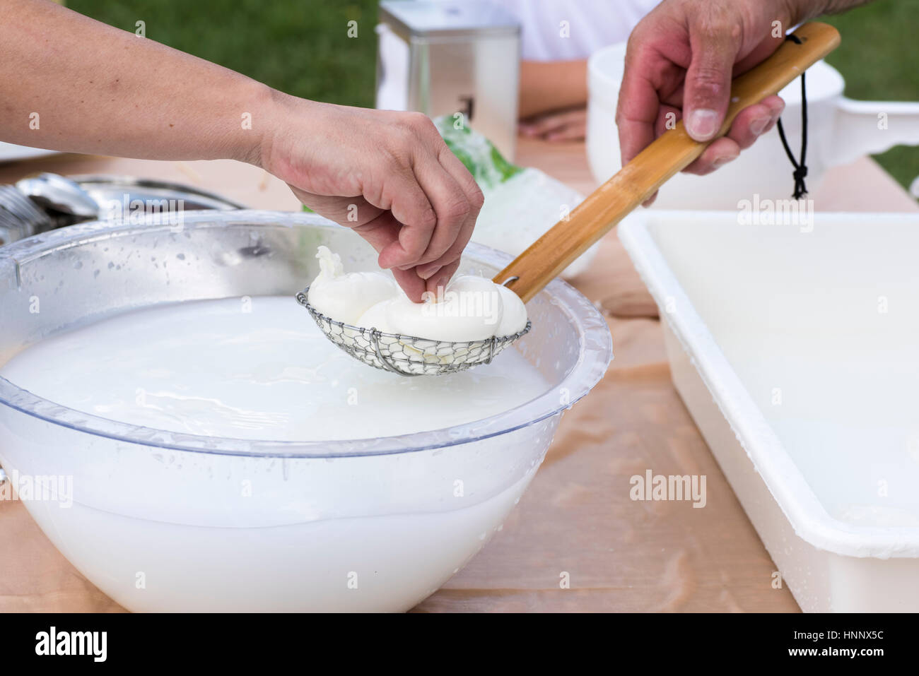 processing of mozzarella in the traditional way Stock Photo - Alamy