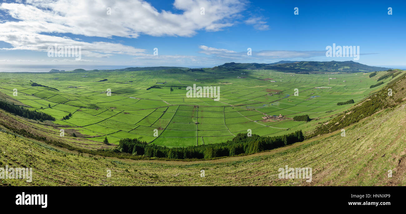Farm fields in the Terceira island in Azores Stock Photo - Alamy