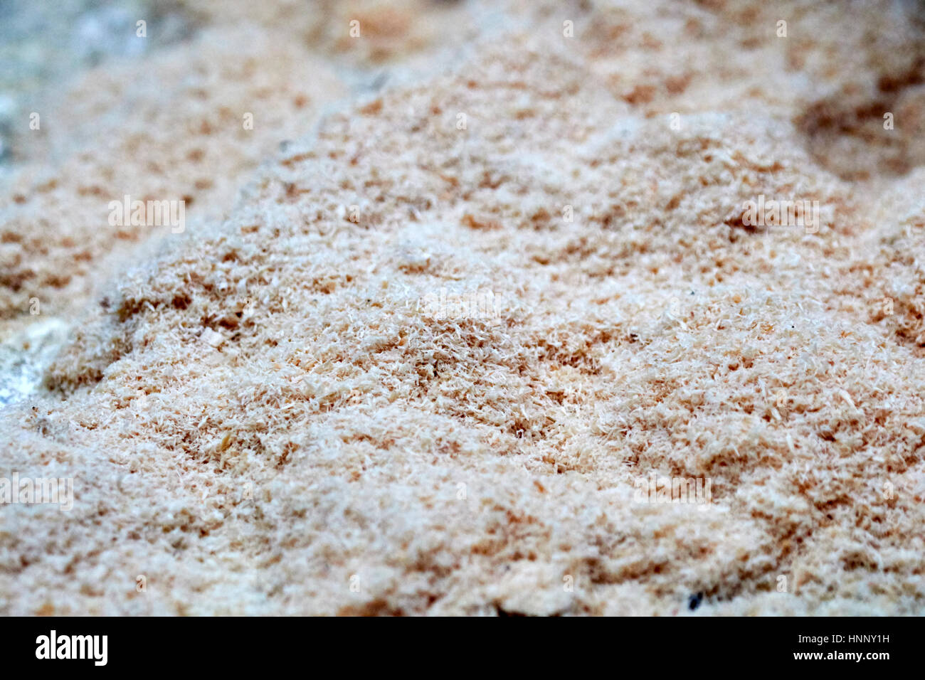 pile of sawdust Stock Photo - Alamy